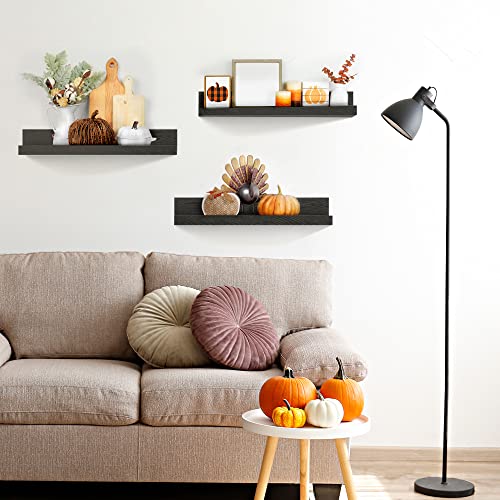 16 Inch Black Floating Shelves - Set of 3 Photo Ledge Wall Mounted Shelves with Invisible Brackets - Floating Shelves Black for Bedroom, Living Room, Bathroom, Kitchen, Office - 3 Different Sizes