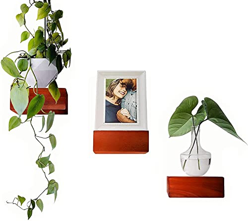 Ninefold Design Solid Wood Small Size Floating Wall Shelves, Set of 3 Home Decor in Mahogany Color, Holds 30 Ibs Each Easy Installation for Living Room, Bedroom, Bathroom, Kitchen, and Office.