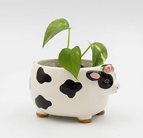 Cosmos Gifts Fine Ceramic Country Barnyard Cow Candy Dish Bowl/Plant Planter, 5" L