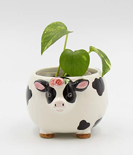 Cosmos Gifts Fine Ceramic Country Barnyard Cow Candy Dish Bowl/Plant Planter, 5" L