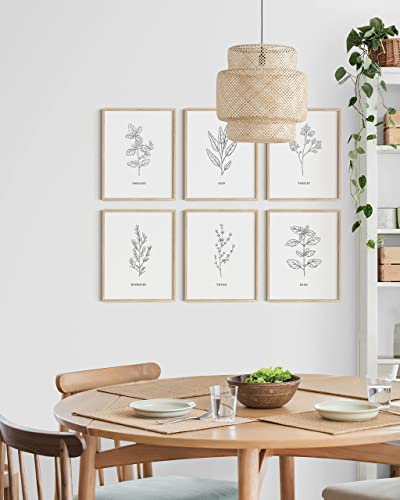 HAUS AND HUES Kitchen Herbs Wall Art Decor for Kitchen Herb Art Prints and Kitchen Signs Wall Decor | Herb Prints Kitchen Wall Art Kitchen Prints for Wall Herb Decor (8"X10" UNFRAMED)