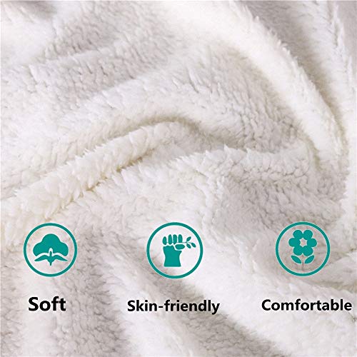 Ultra Soft 3D Printed Blanket Dachshund Dog Pattern Cozy Microfiber Plush Sherpa Blanket 2 Sizes Warm Fuzzy Throw Blanket for Kids and Adults Throws Blankets (Style02, 150cm x 200cm(59'' x 79''))