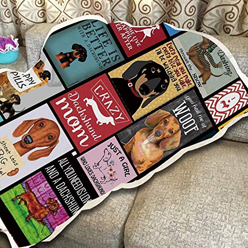 Ultra Soft 3D Printed Blanket Dachshund Dog Pattern Cozy Microfiber Plush Sherpa Blanket 2 Sizes Warm Fuzzy Throw Blanket for Kids and Adults Throws Blankets (Style02, 150cm x 200cm(59'' x 79''))