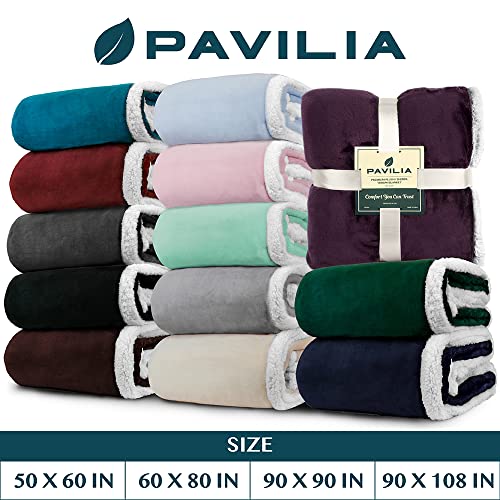 PAVILIA Plush Sherpa Fleece Throw Blanket Light Blue | Soft, Warm, Fuzzy Baby Blue Throw for Couch Sofa | Solid Reversible Cozy Microfiber Fluffy Blanket, 50x60