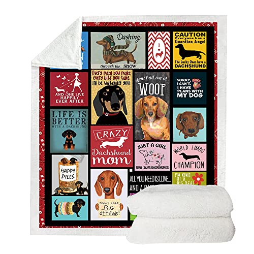 Ultra Soft 3D Printed Blanket Dachshund Dog Pattern Cozy Microfiber Plush Sherpa Blanket 2 Sizes Warm Fuzzy Throw Blanket for Kids and Adults Throws Blankets (Style02, 150cm x 200cm(59'' x 79''))