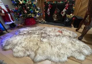 Genuine Natural Sheepskin Rug 4-Pelt Real Fur 71"x41"x 2" Premium Grade Australia and New Zealand Ethically Sourced by Windward (Ivory/White)