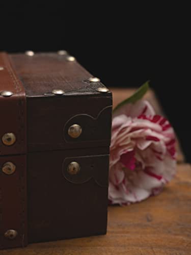 Gbrand 8.3" Wood and Leather Celtic Moon Chest Box, Crescent Wooden Box with Velvet Lining, Vintage Tarot Box (Box Only)