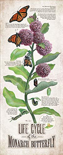 Life Cycle of The Monarch Butterfly Vintage Retro Tin Signs Wall Decor Metal Bar Plaque Pub Poster Club Tavern Shop 4x16 Inch