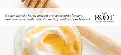 Root Candles Honeycomb Veriglass Beeswax Blend Scented Candle, Large, Creamed Honey