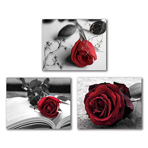 Vintage Painting Black and White Red Rose Wall Art Paintings Set of 3 (8”X10” Canvas Picture) Abstract Wall Art Decor Flower Art Paint for Bedroom Living Room Home Decor Valentines Gift Frameless