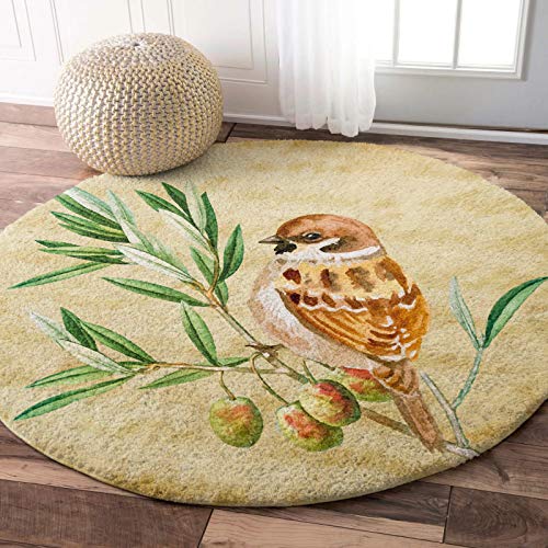 Ultra Soft Round Area Rug 5ft,Vintage Bird Flower,Fluffy Shag Absorbent Water Circle Rugs Runners for Living/Dining Room/Bedroom,Spring Plant,Non Slip Round Floor Carpet Nursery Rug,Modern Home Decor