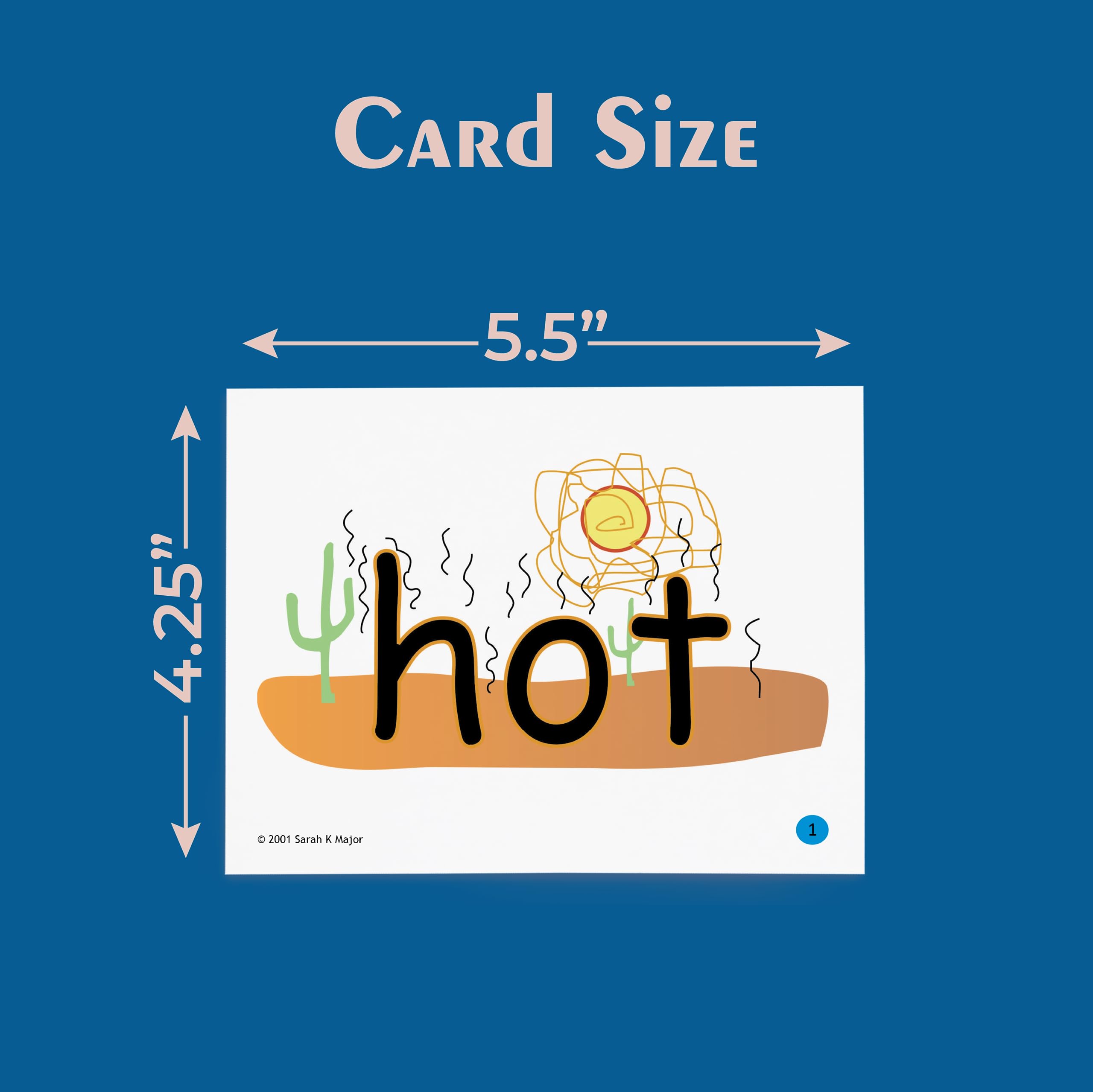 SnapWords® List D Teaching Cards Sight Words Flash Cards