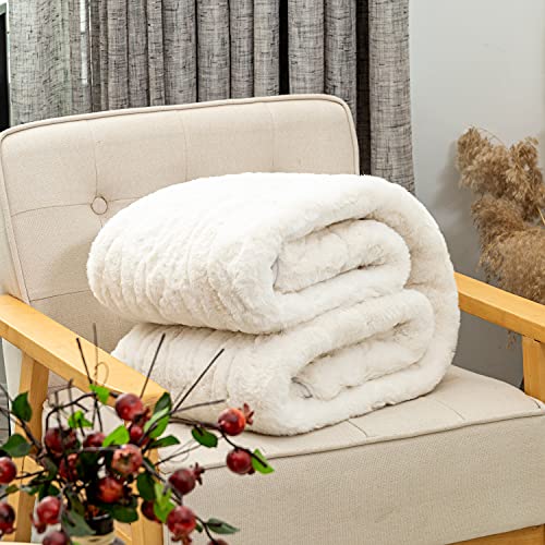 GLORY SEASON Comfy Warm Blanket Faux Fur Throw Blanket Fuzzy Ultra Soft Cozy Fluffy Blanket for Bed Couch and Living Room Sofa,Chair,50x60 inches Off White