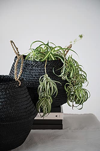Creative Co-Op Seagrass Belly Handles, Set of 2 Basket, Black, 2
