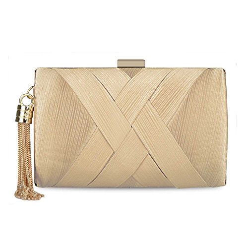 LIFEWISH Tassel Evening Bags Clutch Purses for Women for Wedding Prom Night out Party