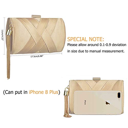 LIFEWISH Tassel Evening Bags Clutch Purses for Women for Wedding Prom Night out Party