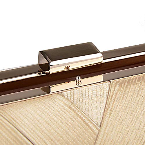 LIFEWISH Tassel Evening Bags Clutch Purses for Women for Wedding Prom Night out Party