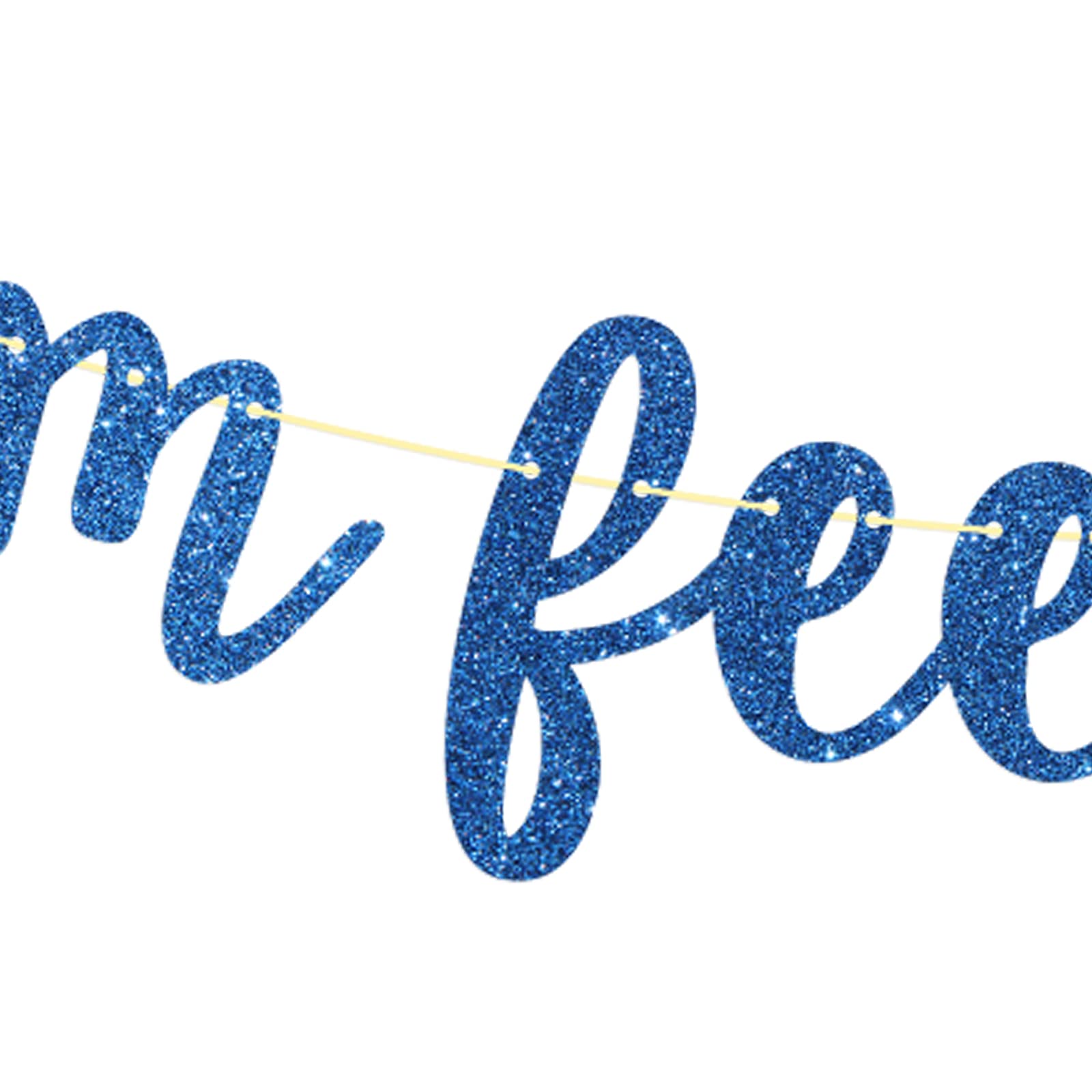 Dill-Dall I'm Feeling 22 Banner, 22nd Birthday Banner, 22nd Birthday Decorations, 22nd Birthday Backdrops ( Royal Blue )