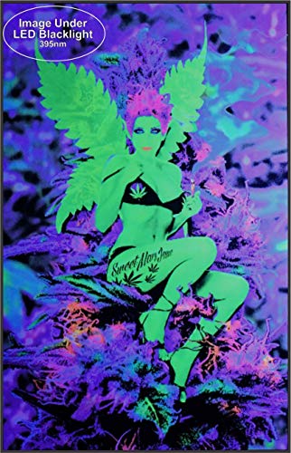 Studio B Weed Fairy Non-Flocked Blacklight Poster 24x36 inches