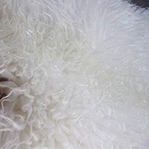 Genuine Tibetan Fur Rug/Ivory White 100% Real Mongolian Sheepskin Hide Pelt Throw Rug Plate Lamb Wool Carpet Curly, 39.5"-41.5" Long