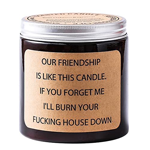 PMCDS2G Scented Candles Best Gift for Men & Women Birthday 14oz 100hour Long Burn Time Lavender Fragrance (Our Friendship is Like This Candle. IF You Forget ME I'll Burn Your FXXKING House Down.)