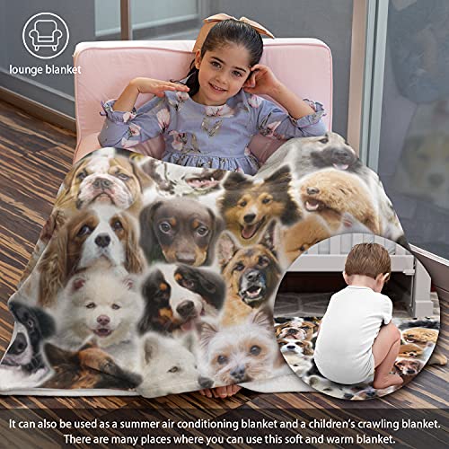 Large Fleece Throw Blanket for Couch Sofa, Fuzzy Soft Cozy Blankets and Throws Warm Lightweight Plush Lap Blanket for Women Men, 50 x 60 inches, Cute Dogs Pattern