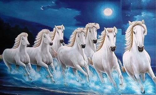 Desirous White seven horses pictures perfect for vastu shastra 12 x 18'' inch Poster