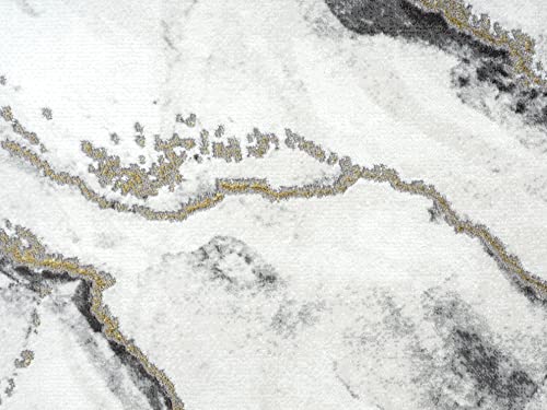 Abani 5'3"x7'6" (5x8) Contemporary Grey & Metallic Gold Area Rug, Non-Shed Modern Rugs Marble Print Dining Room Rug