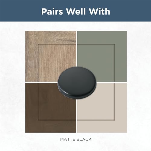 Franklin Brass Parow (1-Pack) Cabinet Knobs Matte Black Hardware for Kitchen, Drawer Pulls, Dressers, Closet Door 1-1/8' P29542K-FB-C