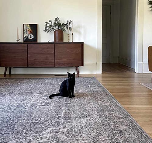 Greenpoint Machine Washable Area Rug - Oriental Persian Traditional Medallion - Bohemian Vintage Distressed Carpet - Brown, Beige - 6'7"x9'