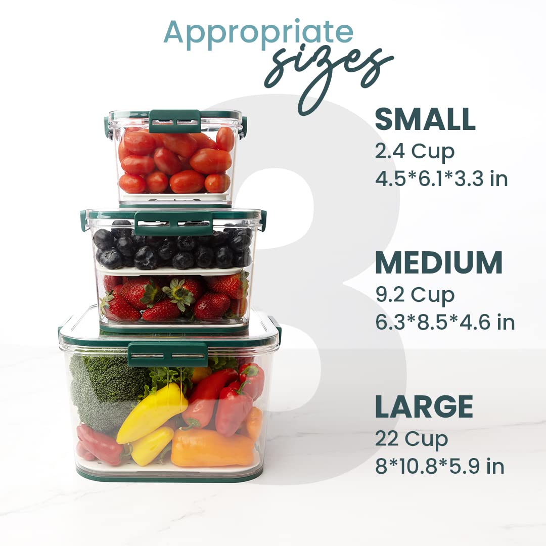 DMagazi Fruit Storage Containers for Fridge | 3 Set Fruit and Vegetable Storage Containers for Organizing with Strainer | Stackable Food Storage Containers With Lids Airtight