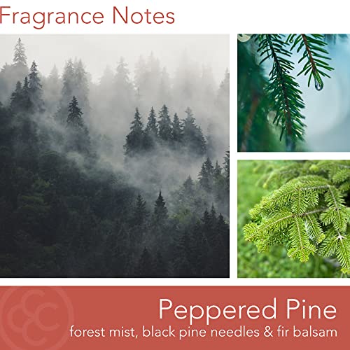 Manly Indulgence Peppered Pine Scented Jar Candle, All American Collection, 2 Wick, Red, 15 oz - Up to 60 Hours Burn