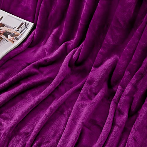 VANSILK Super Soft Flannel Fleece Throw Blanket Warm Fluffy Solid Throw for Bed and Couch (Purple 60''x80'')
