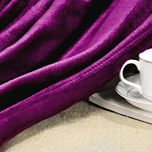 VANSILK Super Soft Flannel Fleece Throw Blanket Warm Fluffy Solid Throw for Bed and Couch (Purple 60''x80'')
