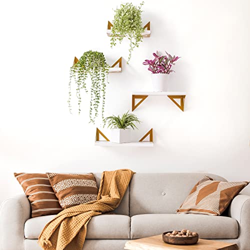 Titanape White Floating Shelves for Bedroom Living Room Decor Aesthetic, Solid Wood Wall Mounted Shelves with Gold Brackets for Bathroom Kitchen Storage Bookshelf for Wall Office Decor
