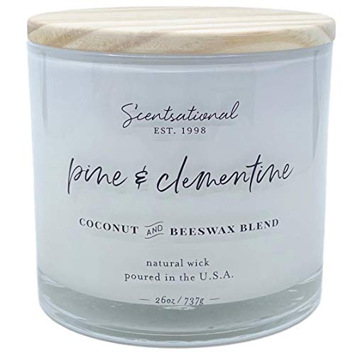 Scentsational Large Pine and Clementine Scented Candle White