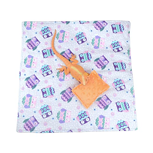 Soft Bearded Dragon Blanket with Pillow for Bearded Dragon Leopard Gecko Lizard Bath Towel Wrap to Snuggle or Sleep 18 × 18 Inch