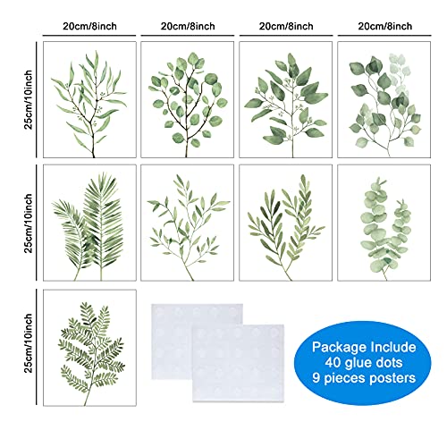 Tevxj 9PCS Botanical Plant Wall Art Prints Green Plant Wall Decor Boho Herb Wall Decor Pictures Minimalist Wall Art Photo Prints for Living Room Kitchen Leaves (8"x10", Unframed)