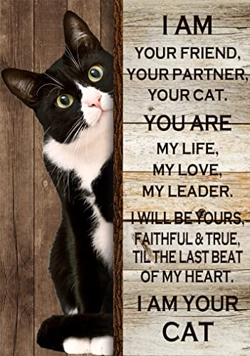 Black Cat Sign I Am Your Friend Your Partner Your Cat You are My Life Home Wall Decoration Metal Plaques 12X8 inch