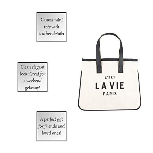 Santa Barbara Design Studio Tote Bag Hold Everything Collection Black and White 100% Cotton Canvas with Genuine Leather Handles, Mini, Paris