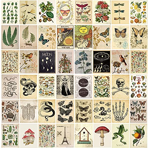 Vintage Wall Collage Kit Aesthetic Pictures Cottagecore Botanical Wall Posters for Room Aesthetic Decor Nature Illustration Boho Trendy Indie Wall Photo Prints for Girls Teens Bedroom School Dorm Wall Art