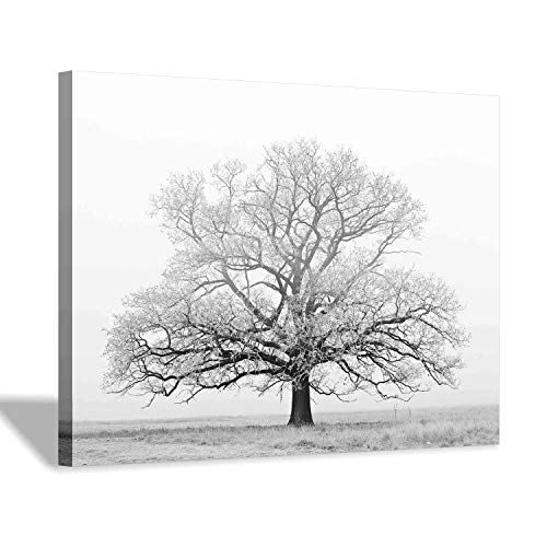 Winter Tree Canvas Print Artwork: Grey & White Landscape Print Wall Art for Bathroom (16'' x 12'')