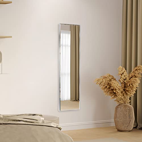 PETAFLOP 14x48 Inch Full Length Mirror Wall Mounted Silver and Black