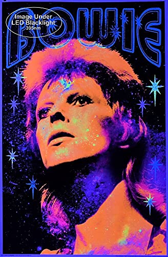 Studio B David Bowie - Non-Flocked Blacklight Poster 24 inch x 36 inch