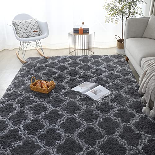 5x8 Feet Grey Soft Area Rugs for Bedroom Living Room Shag Area Rug Modern Indoor Plush Fluffy Carpets, Soft and Comfy Carpet, Girls Kids Nursery Rug