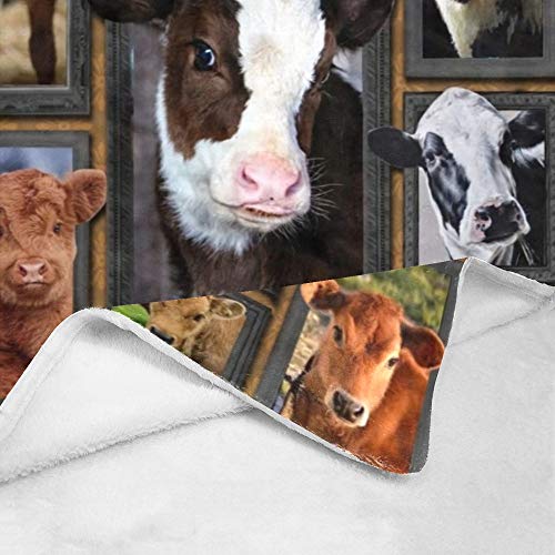 CUXWEOT Personalized Blanket with Name Text Custom Funny Cow Soft Fleece Throw Blanket for Gifts (50 X 60 inches)