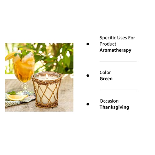 Park Hill Collection ENP10001 Willow Candle, 12 oz (Sweet Tea)