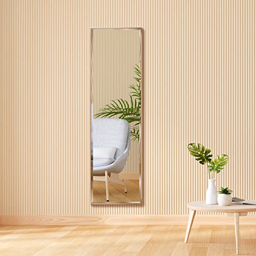 PETAFLOP 14x48 Inch Full Length Mirror Wall Mounted Rose Gold and Silver