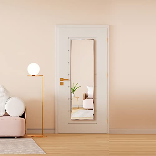 PETAFLOP 14x48 Inch Full Length Mirror Wall Mounted Rose Gold and Silver
