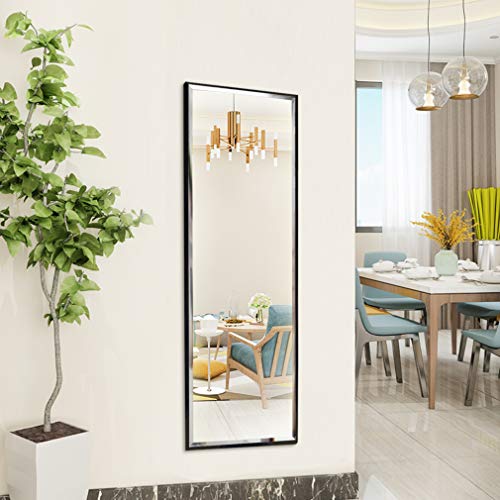 PETAFLOP 14x48 Inch Full Length Mirror Wall Mounted Rose Gold and Silver